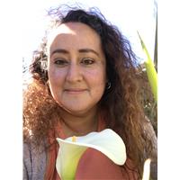 My Classroom Wish List